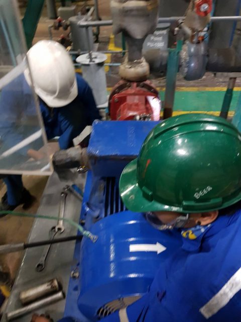 Service - Plant Equipment